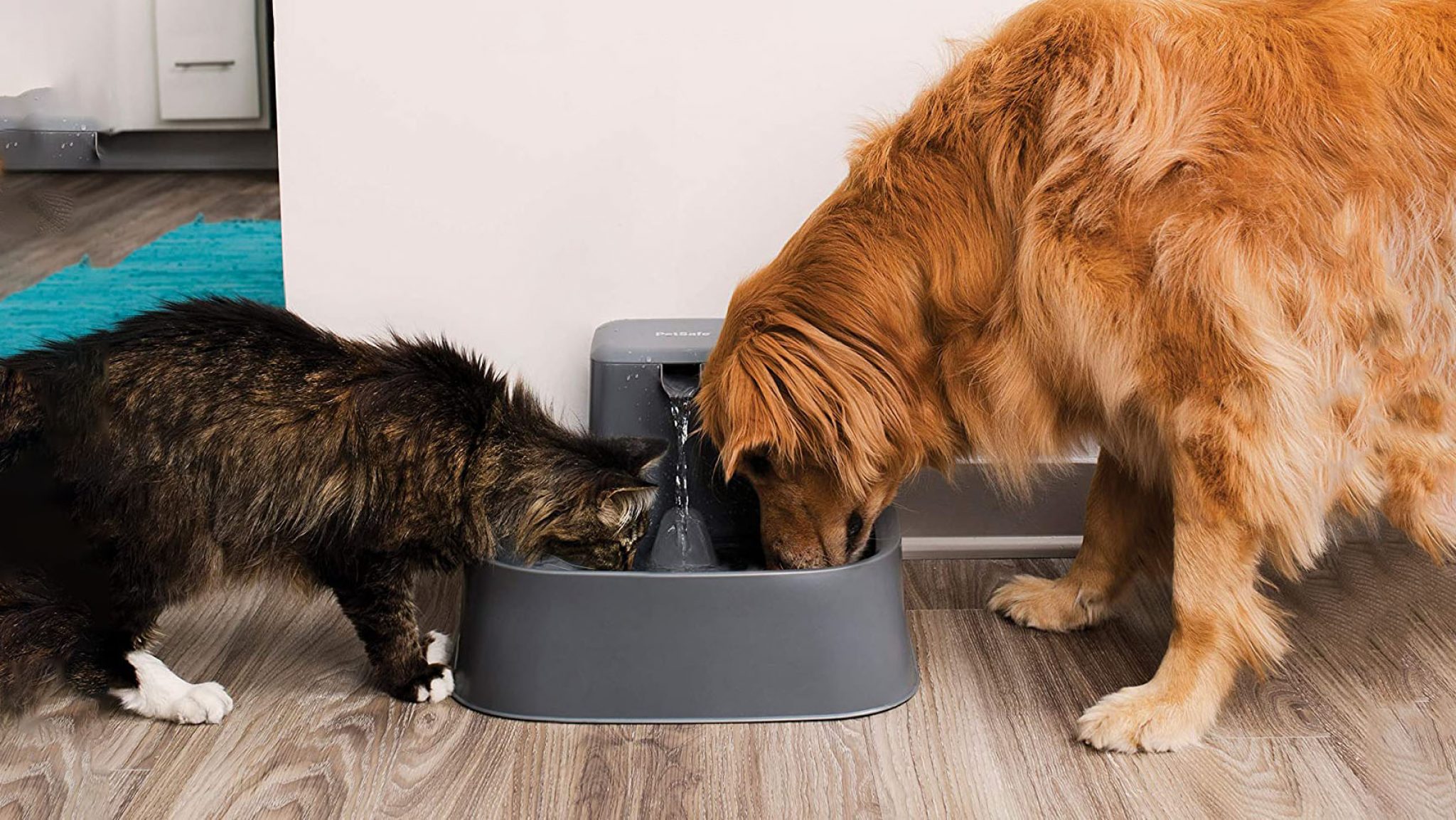 Best Dog Water Dispenser [2023] Top Dog Water Fountain [Review]